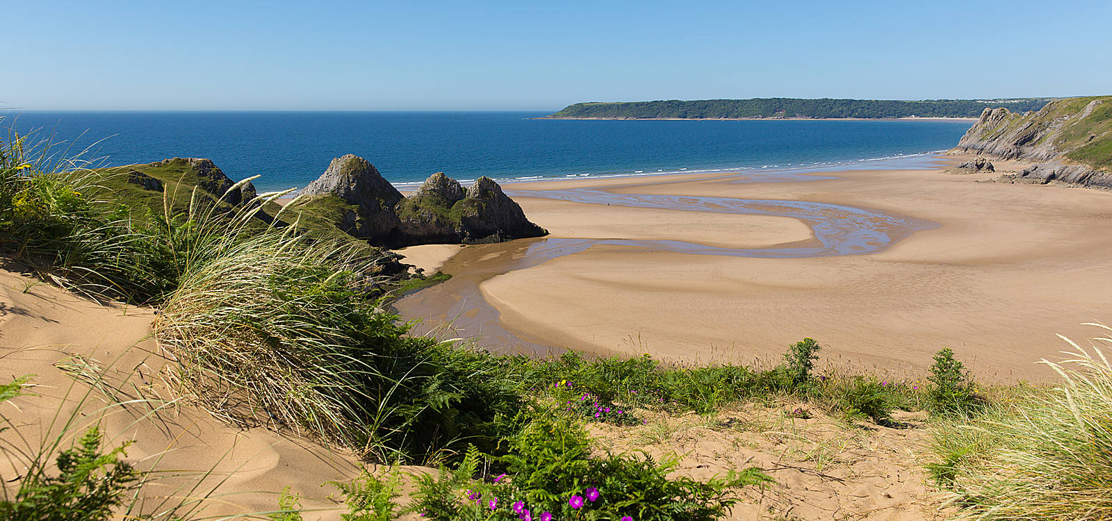 Gower is open again! - Gower Holidays