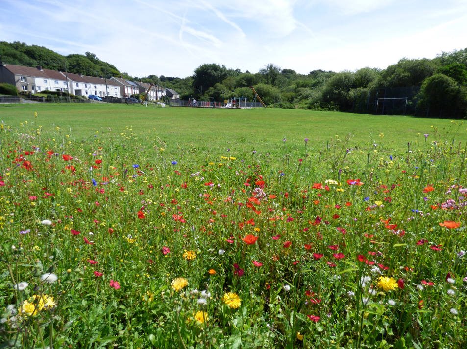 Dunvant village (Dyfnant) on the edge of the Gower Peninsula