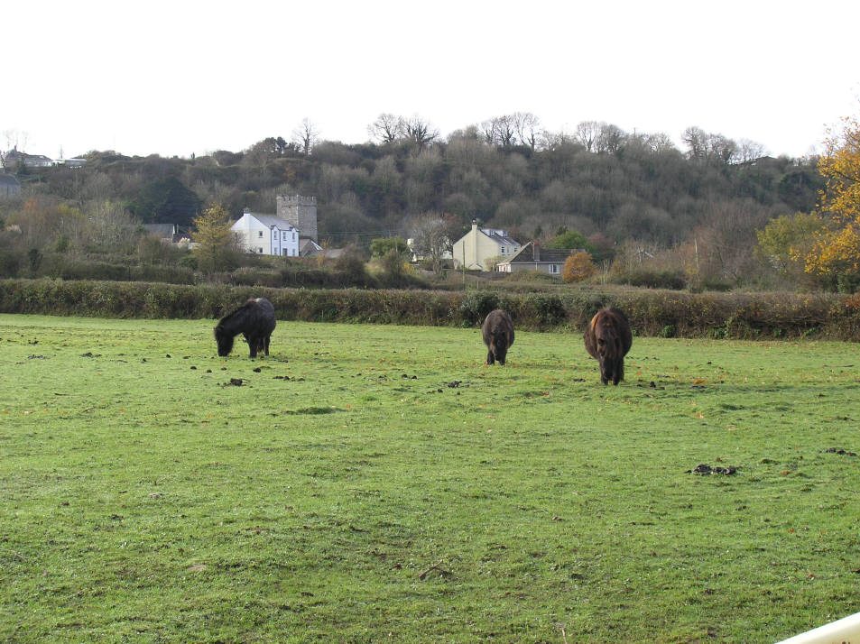 Llanrhidian village in the Gower Peninsula | Gower Holidays